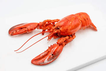 Fryst Hummer MSC, 500g - Pris fr. 399kr/st - Fri hemleverans vid köp ...